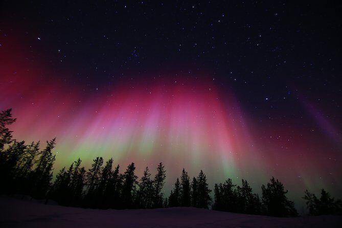 Yellowknife Tours - Aurora by bus - The Sum Up: Is This Tour Right for You?