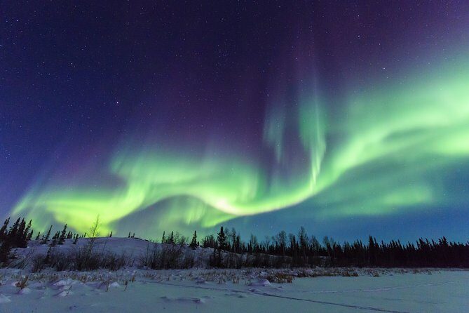 Yellowknife Tours - Aurora by bus - FAQ