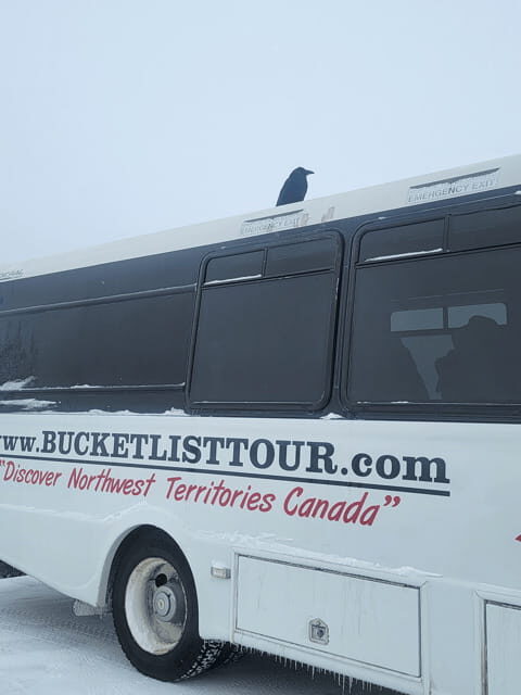 Yellowknife: Wild Bison Highway Tour - Value and Practical Considerations