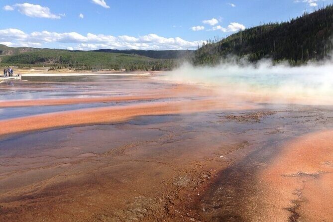Yellowstone For Kids All-inclusiveFamily Fun Tours PU Cody Wy - Is This Tour Right for You?