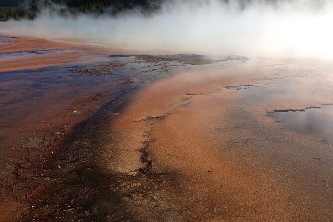 Yellowstone For Kids All-inclusiveFamily Fun Tours PU Cody Wy - The Sum Up
