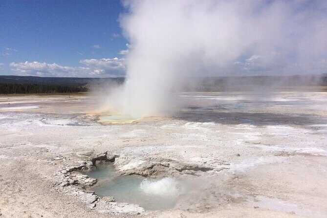 Yellowstone For Kids Family Fun Tour w/PU in West Yellowstone - Practical Details and Tips