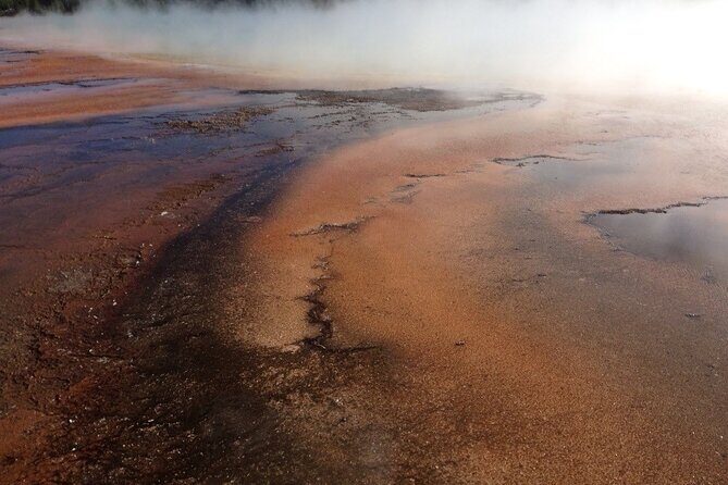 Yellowstone For Kids Family Fun Tour w/PU in West Yellowstone - Final Thoughts: Is It Right for Your Family?