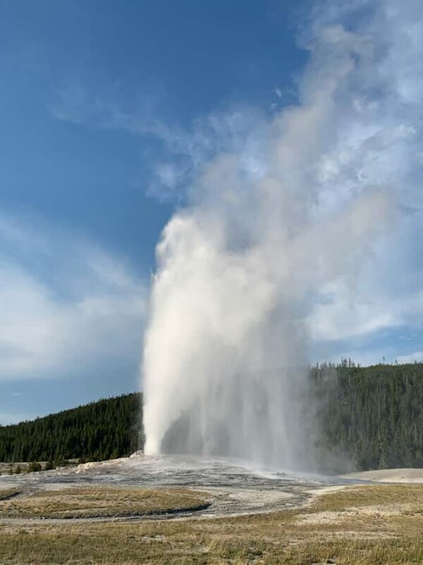 Yellowstone: Full-Day Private Guided Tour with Picnic Lunch - The Value of a Private Guided Experience