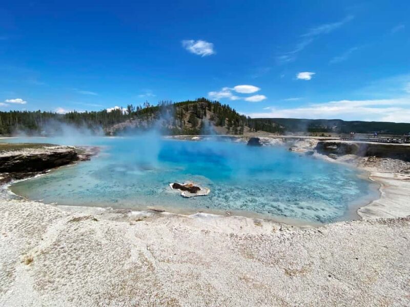 Yellowstone: Full-Day Private Guided Tour with Picnic Lunch - Authentic Yellowstone Experience