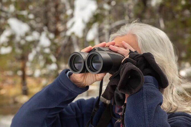Yellowstone Full Day Private Tour & Hike - from Inside the Park - The Sum Up