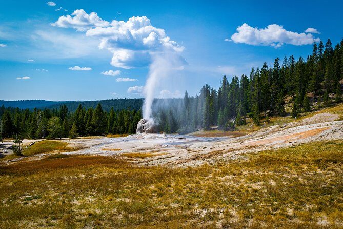 Yellowstone Full Day Private Tour & Hike - Pickup from Gardiner - Key Points