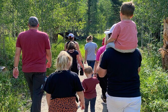 Yellowstone Full-Day Upper Loop with Wildlife Adventure w/Lunch - Summary