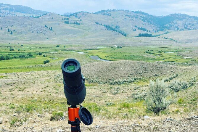 Yellowstone Full-Day Upper Loop with Wildlife Adventure w/Lunch - Who Will This Tour Benefit Most?