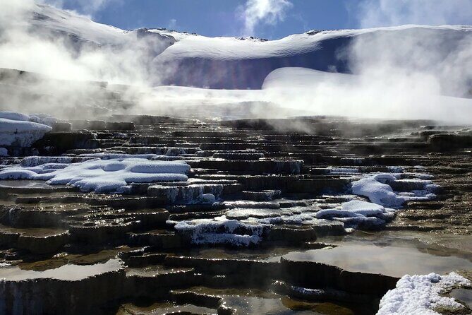 Yellowstone Full Day Winter Tour (With Optional Hike or Snowshoe) - The Spirit of the Tour: What It Offers