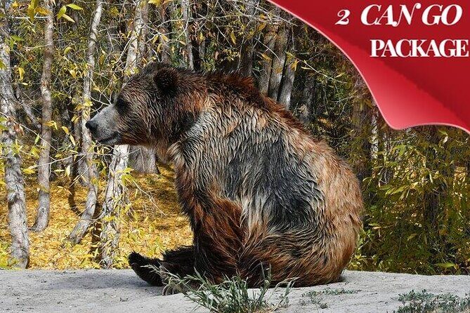 Yellowstone, Grand Teton, and Hot Springs: Small Group 5-Day Tour - An In-Depth Look at the 5-Day Itinerary