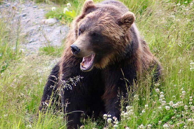 Yellowstone, Grand Teton, and Hot Springs: Small Group 5-Day Tour - Additional Information