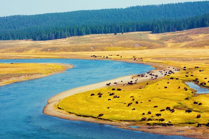 Yellowstone & Grand Teton National Parks: Small Group 3-Day Tour - Transportation & Group Size