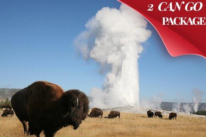 Yellowstone & Grand Teton National Parks: Small Group 4-Day Tour - What’s Included and What’s Not