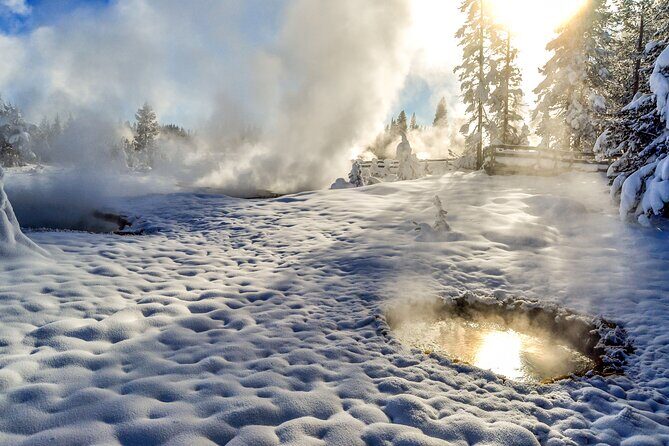 Yellowstone & Grand Teton National Parks Winter Tour: Small Group 4-Day Tour - Who Should Consider This Tour?
