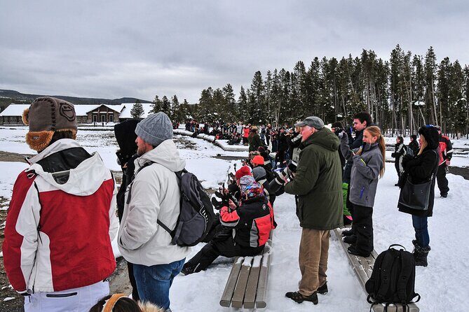 Yellowstone & Grand Teton National Parks Winter Tour: Small Group 4-Day Tour - In Summary