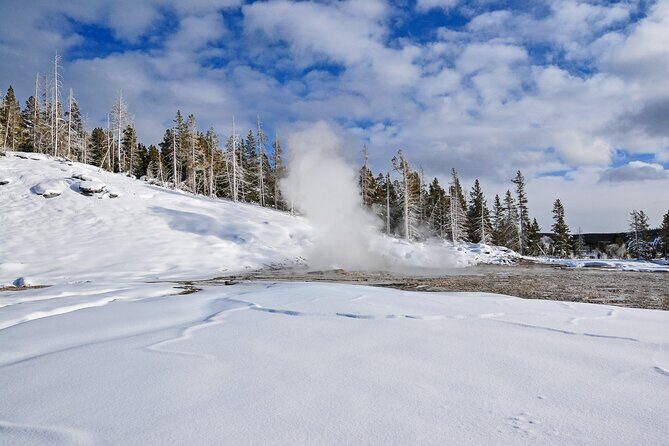Yellowstone, Grand Teton & Utah Mighty 5 Winter Tour: Small Group 9-Day Tour - Authentic Experiences and Value
