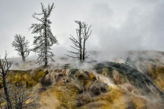 Yellowstone, Grand Teton & Utah Mighty 5 Winter Tour: Small Group 9-Day Tour - Frequently Asked Questions