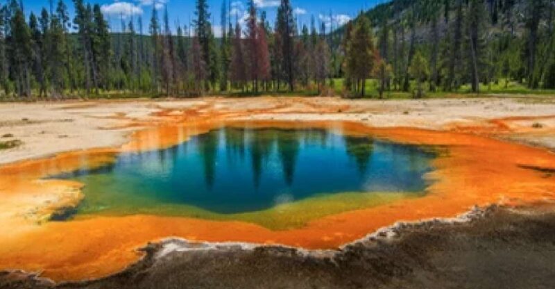 Yellowstone & Grand Tetons: 4-Day/3-Night Wildlife Adventure - What Past Travelers Say