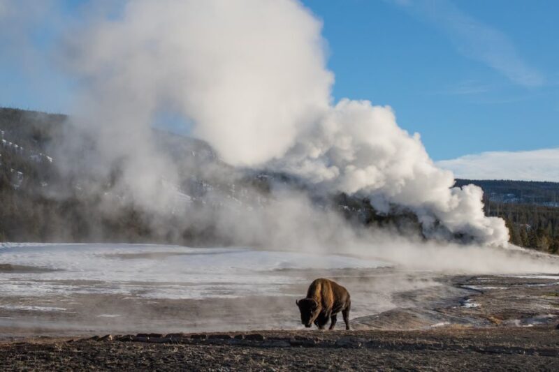 Yellowstone & Grand Tetons: 4-Day/3-Night Wildlife Adventure - The Sum Up: Who Is This Tour For?
