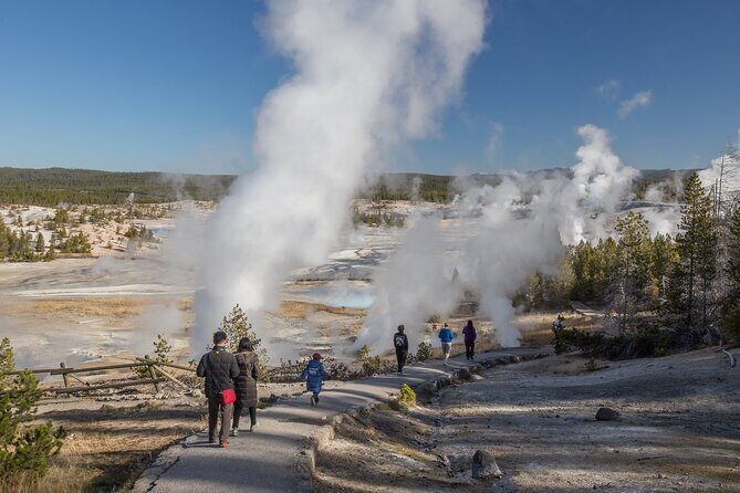 Yellowstone in a Day - Wildlife, Canyons, & Hot Springs - A Deep Dive into the Yellowstone Experience