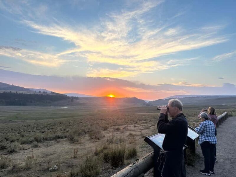 Yellowstone Lamar Valley & Picnic Lunch With Wildlife Guide - Key Points