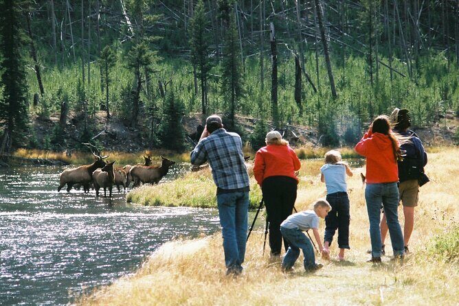 Yellowstone Lower (Southern) Loop Tour - A Closer Look at the Itinerary