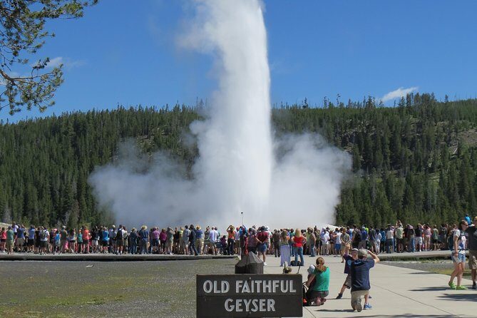 Yellowstone National Park - PRIVATE Full-Day Lower Loop Tour from Jackson Hole - Key Points