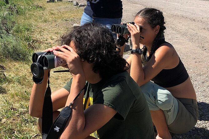Yellowstone National Park Private Guided Tour - Full Day - Introduction
