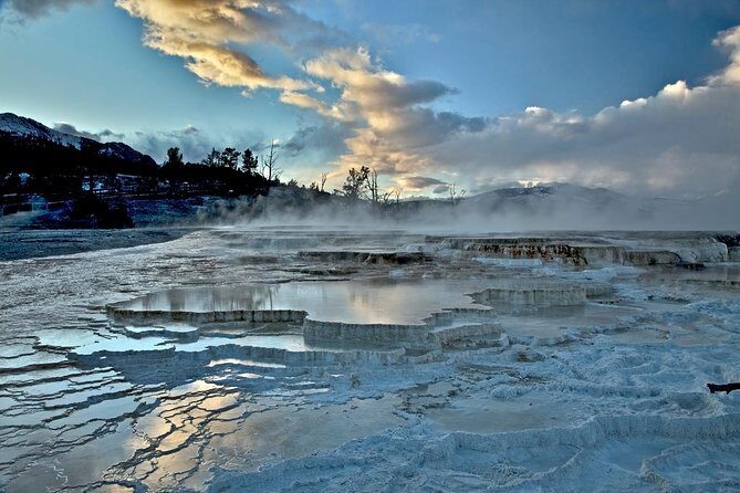 Yellowstone National Park Private Tour - Who Will Love This Tour?