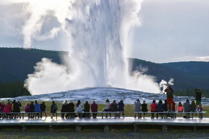 Yellowstone National Park Tour from Jackson Hole - The Bottom Line: Who Is This Tour For?