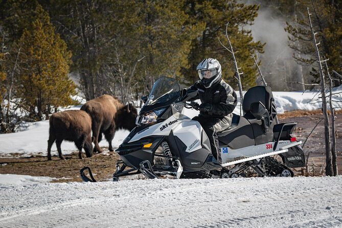 Yellowstone Old Faithful Full-Day Snowmobile Tour from Jackson Hole - The Authentic Yellowstone Experience