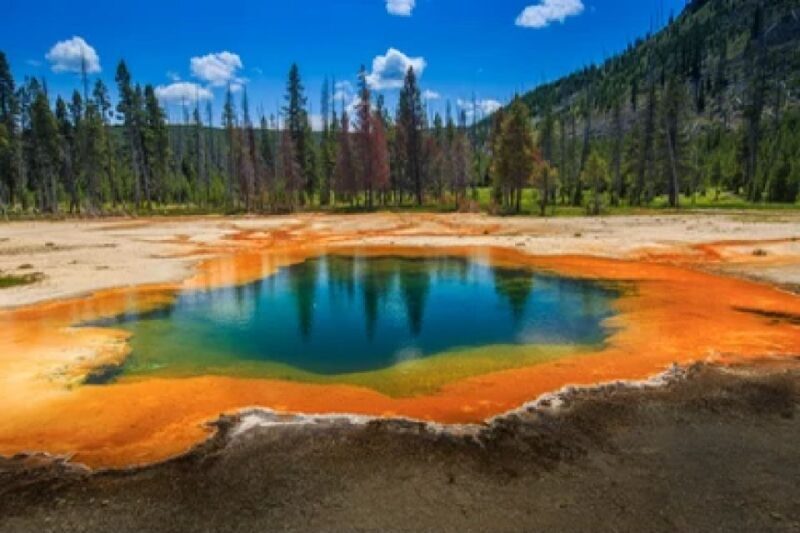 Yellowstone: Old Faithful, Waterfalls, and Wildlife Day Tour - Final Thoughts