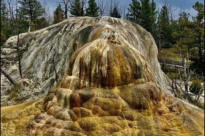 Yellowstone Wildlife and Photo Tours Upper Loop Tour From Cody - FAQs