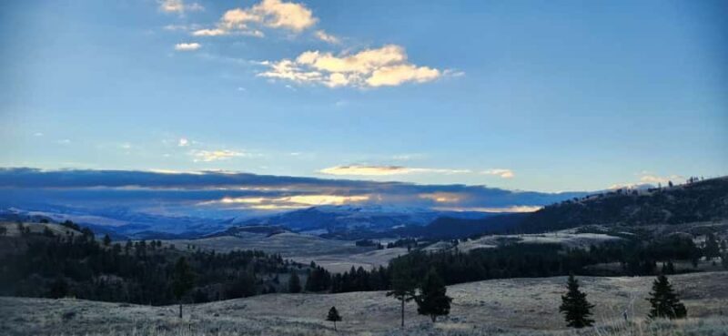 Yellowstone: Wildlife Tour with Coffee and Photos - Key Points