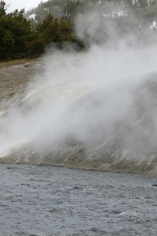 Yellowstone Wildlife Tours: From West Yellowstone Montana - What to Expect on Your Yellowstone Wildlife Tour