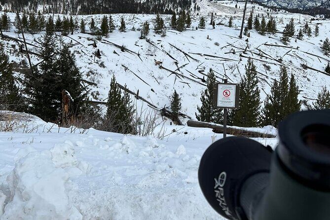 Yellowstone Winter Wildlife with Snowshoeing VIP Experience - An Honest Look at Whats on Offer