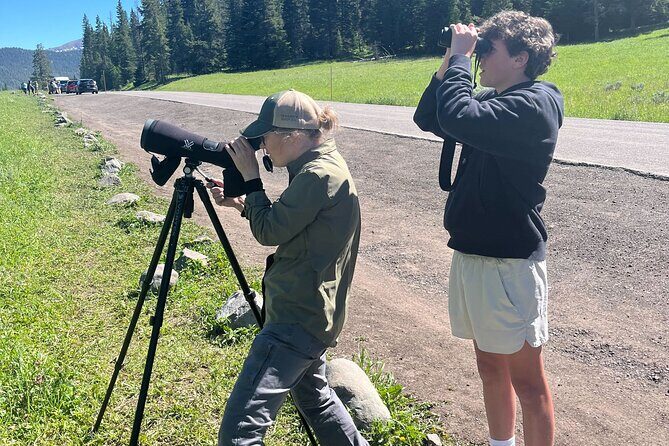 Yellowstone's Lamar Valley Wildlife Safari from Gardiner - In-Depth Look at the Lamar Valley Wildlife Safari