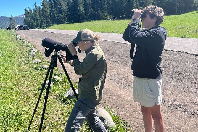Yellowstone's Lamar Valley Wildlife Safari from Paradise Valley - Who Is This Tour Best For?
