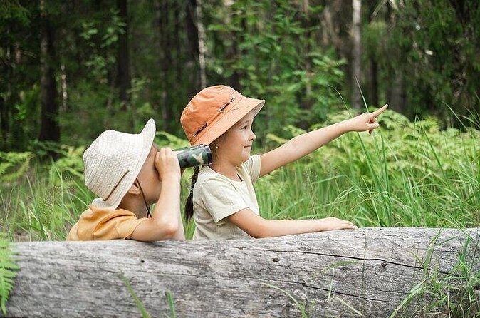 Yellowstone's Nature's Playground in a Family-Friendly Adventure - Detailing the Itinerary: What Youll See and Do