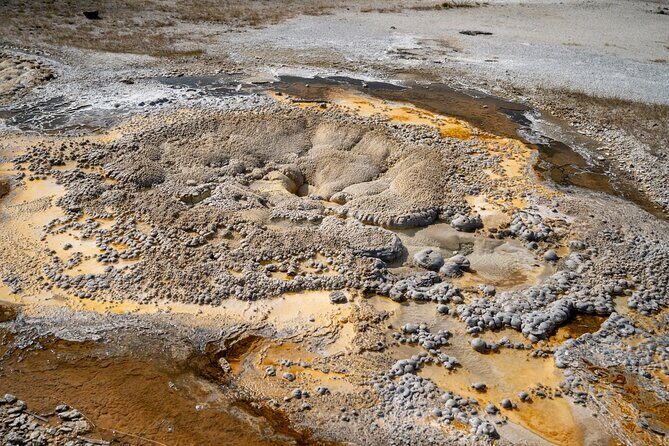 Yellowstone's Old Faithful Self-Guided Walking Tour - Who Will Love This Tour?