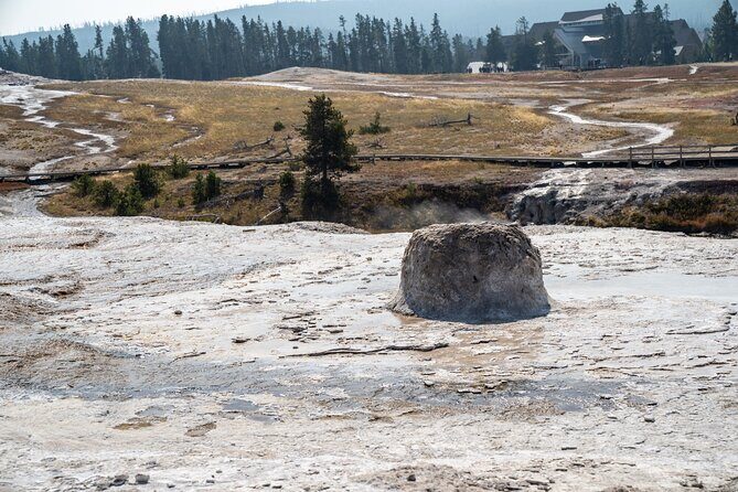 Yellowstone's Old Faithful Self-Guided Walking Tour - Final Thoughts: The Value of the Yellowstone Geyser Experience