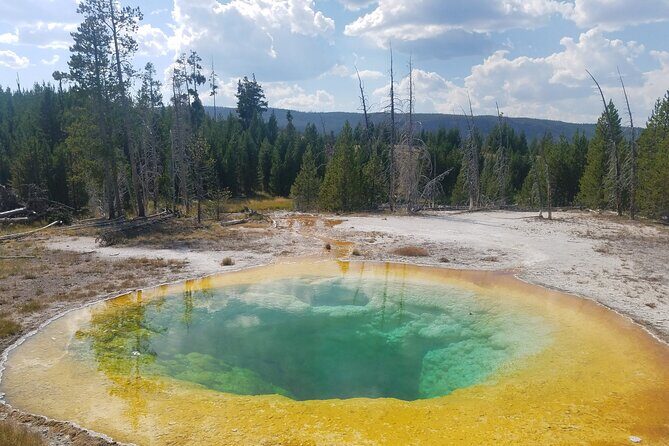 Yellowstone's Upper Geyser Basin: A Self-Guided Audio Tour - An Authentic and Informative Look at Yellowstone’s Geyser Basin
