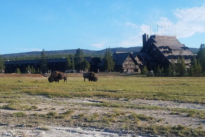 Yellowstone's Upper Geyser Basin: A Self-Guided Audio Tour - What Travelers Are Saying