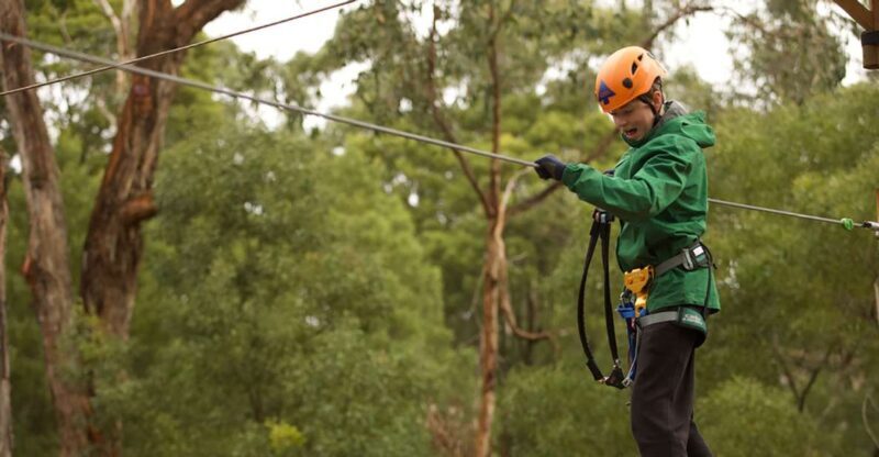 Yeodene: Tree Ropes Courses - Key Points