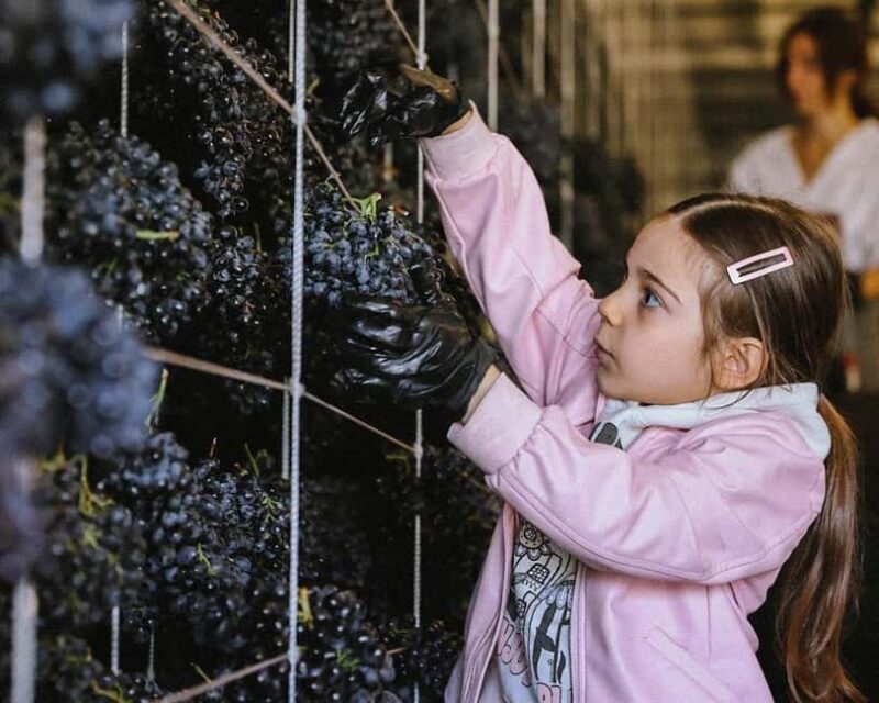 Yerevan: Gevorkian Winery Tour and Tasting Experience - What to Expect from the Gevorkian Winery Tour