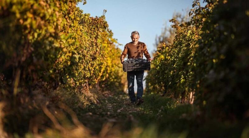 Yerevan: Gevorkian Winery Tour and Tasting Experience - Frequently Asked Questions