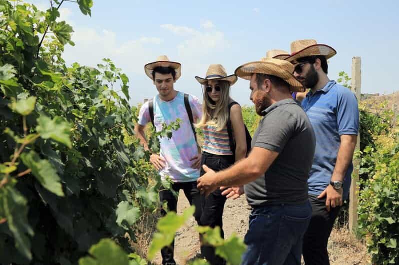 Yerevan: Khor Virap Day Trip with Mount Ararat Wine Tasting - Exploring Armenia’s Cultural and Scenic Highlights