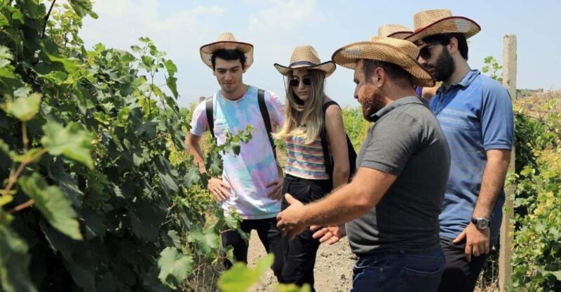 Yerevan: Khor Virap Day Trip with Mount Ararat Wine Tasting - Who Will Love This Tour?
