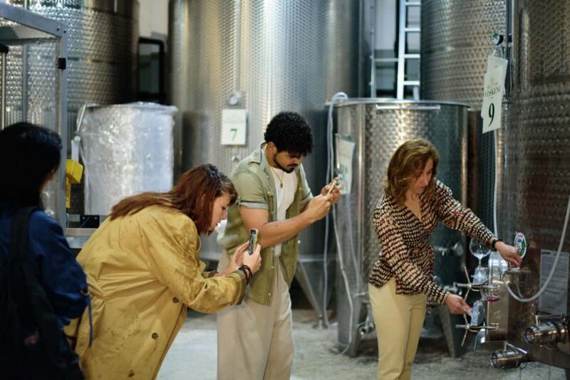 Yerevan: Wine Tasting and Vineyard Lunch at Voskeni Winery - Practical Details and What You Need to Know